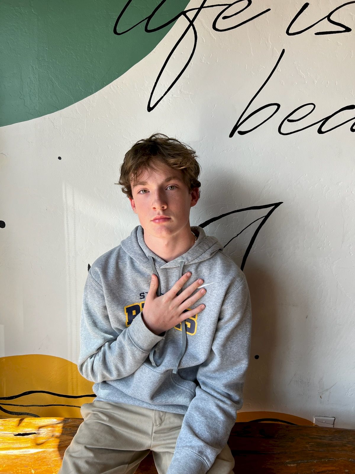 About Us - Adam Raine Foundation